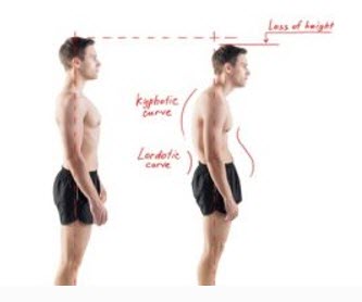 Proper Body Mechanics and Posture at Enchantment Physical Therapy ...